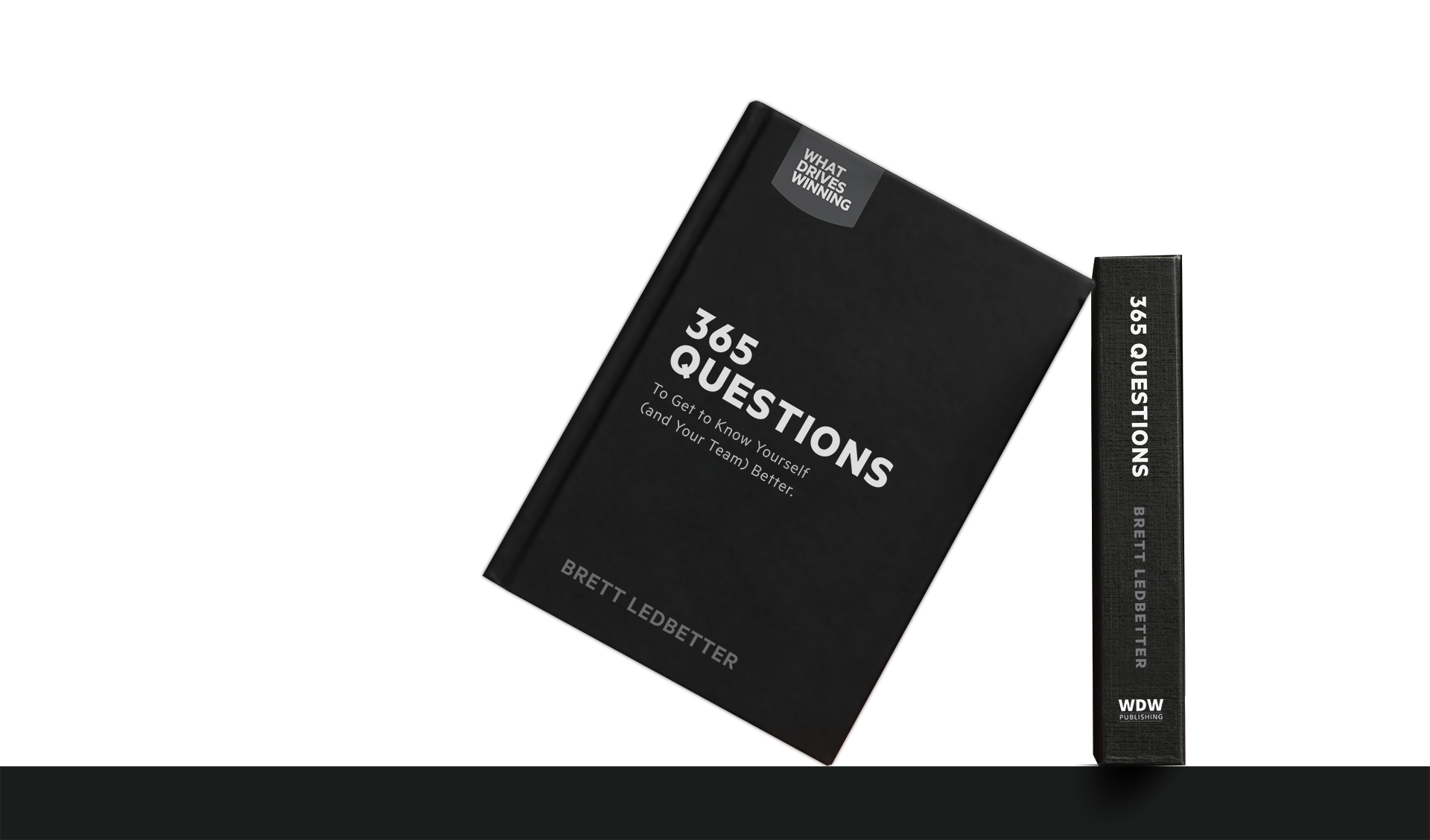 365 Questions - What Drives Winning